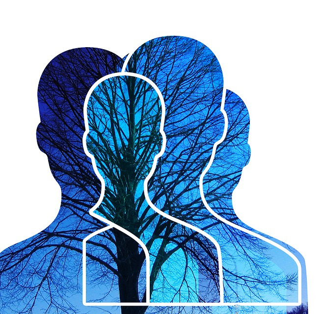 7 niveles de conciencia de Barrett