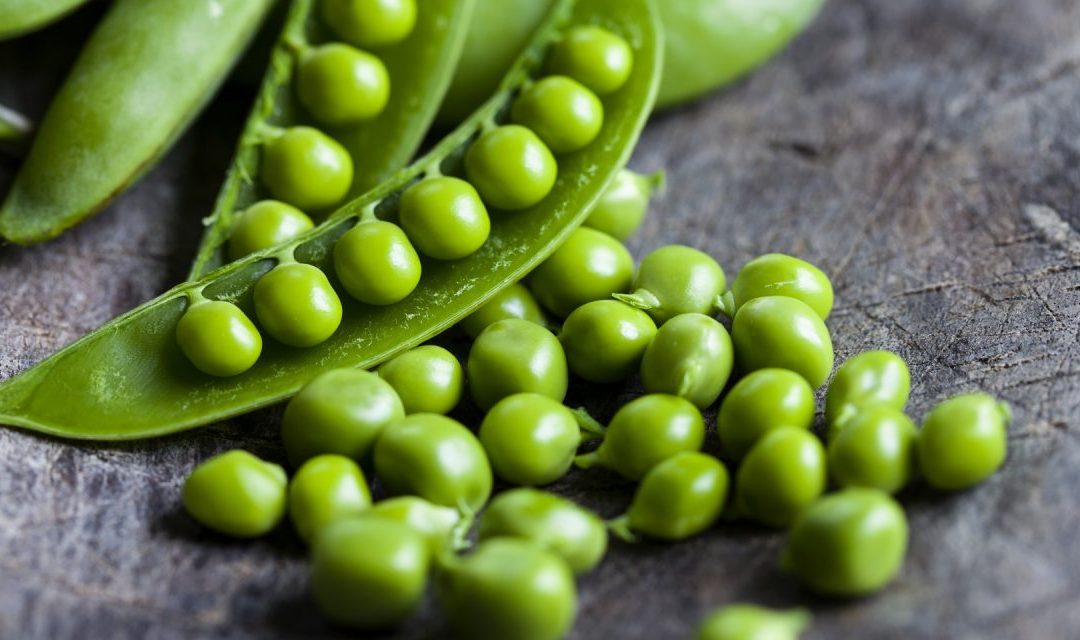 Mentoring y cultivar guisantes verdes - Equilia