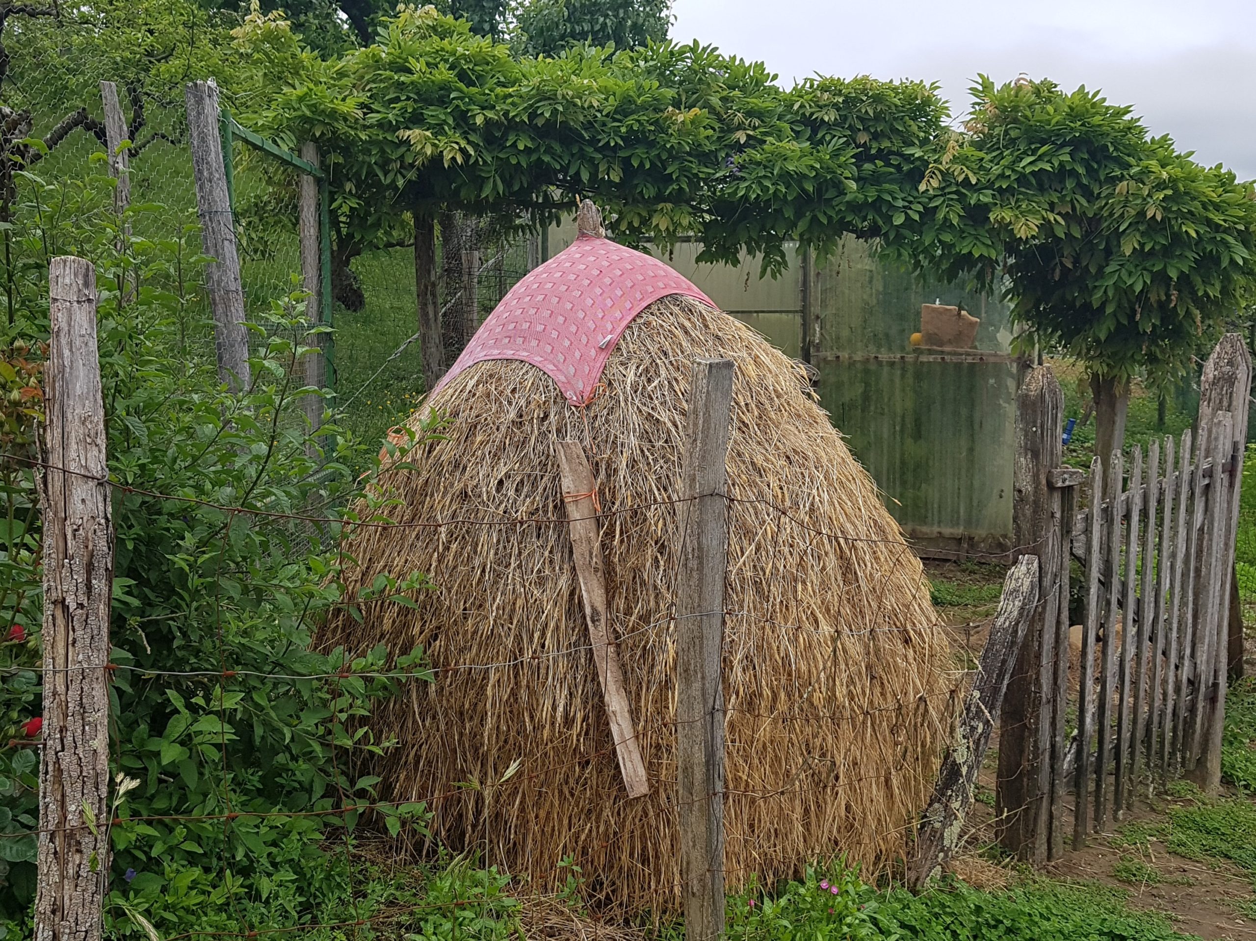 ¿Qué hago? - Equilia